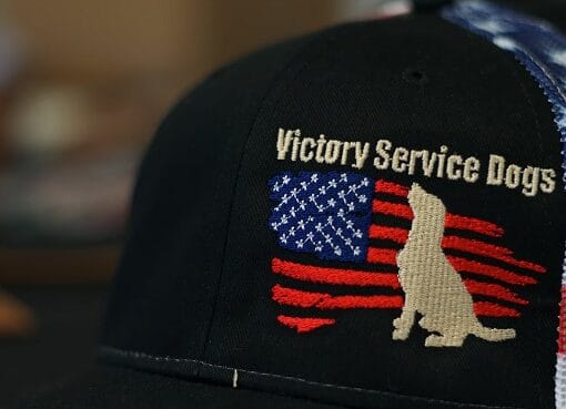 Victory Valor - Victory Service Dogs